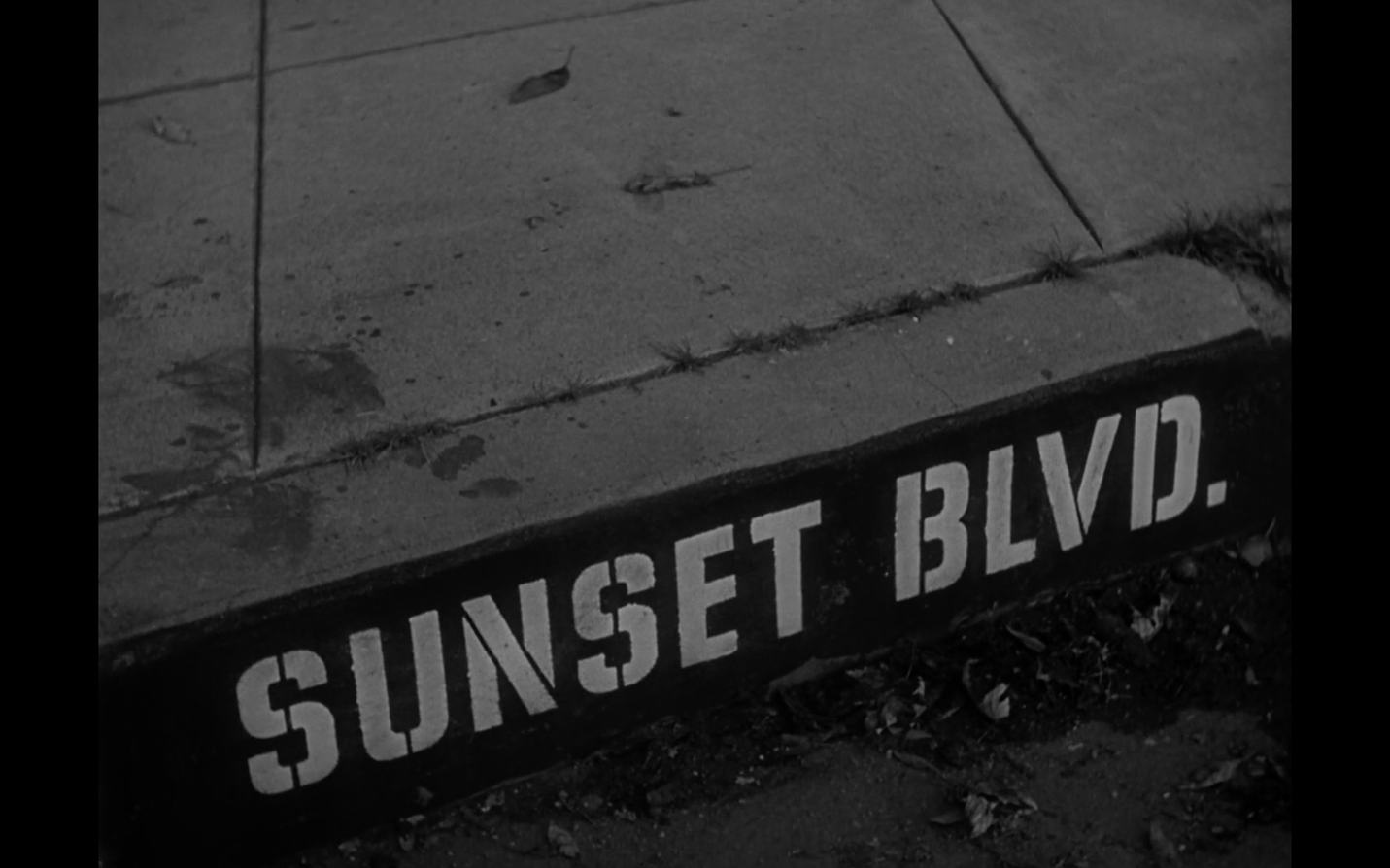 Sunset Boulevard study guide | ACMI: Your museum of screen culture