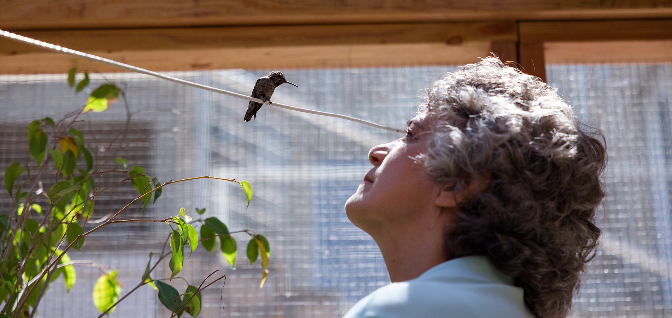 Every Little Thing | ACMI: Your museum of screen culture