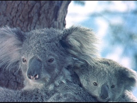 Escape the city | Peter Dimond | 1956 | ACMI collection | ACMI: Your ...