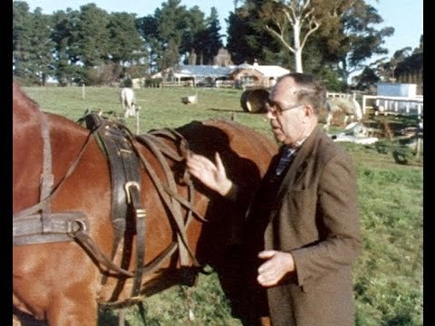 Ken Howard: saddler and harness maker | Film Australia | 1982 | ACMI ...