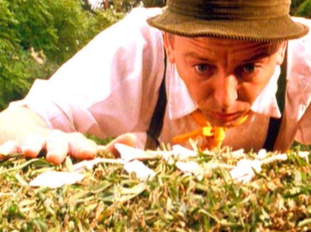 The Drip | AFTRS | 1996 | ACMI collection | ACMI: Your museum of screen ...