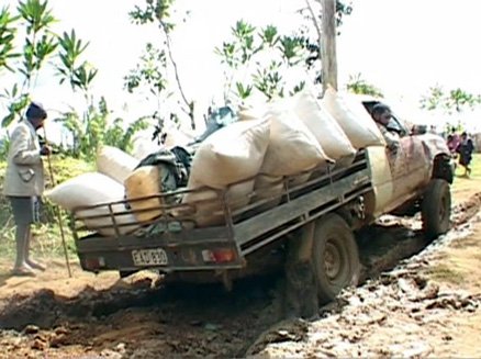 The Okapa Connection | Pip Starr | 2007 | ACMI collection | ACMI: Your ...