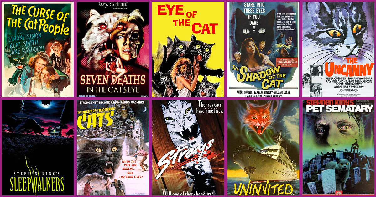 Meow Meow Massacre – cats in horror cinema | ACMI: Your museum of ...