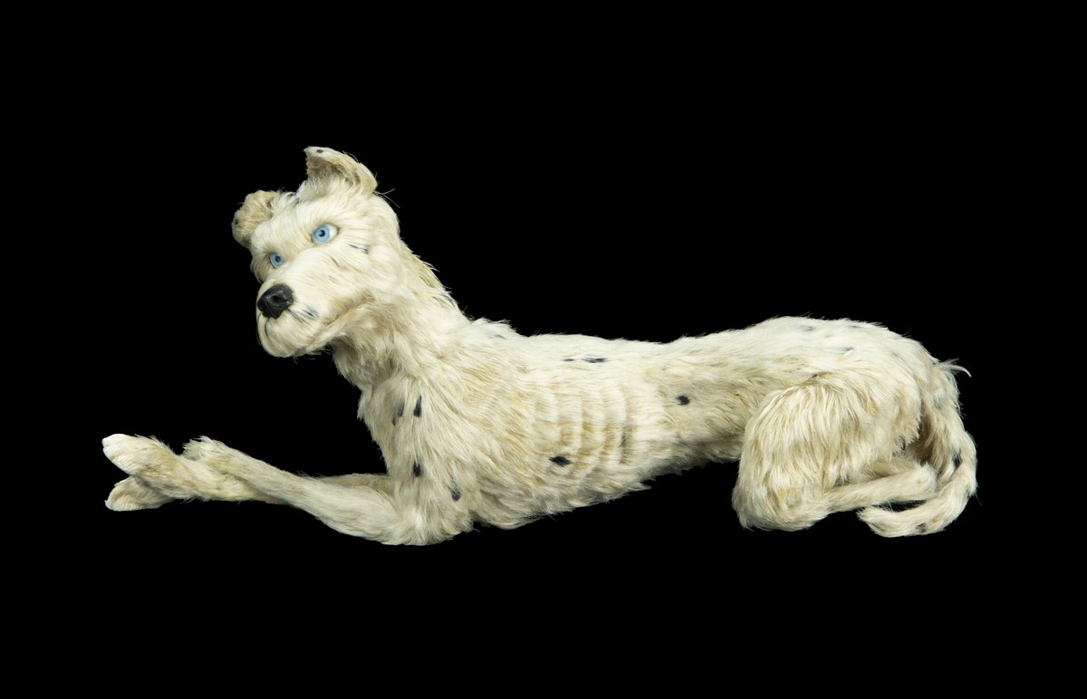 Isle of Dogs Chief (clean) puppet model | ACMI collection | ACMI: Your ...