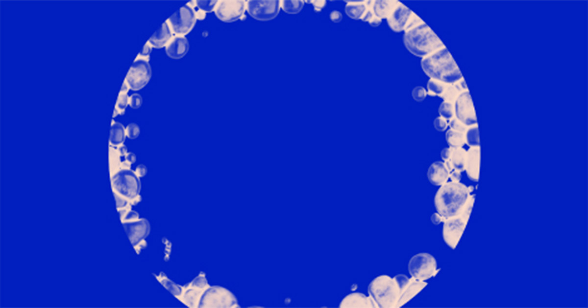 RISING Festival | Wed 2 - Sun 18 Jun 2023 | ACMI: Your museum of screen ...