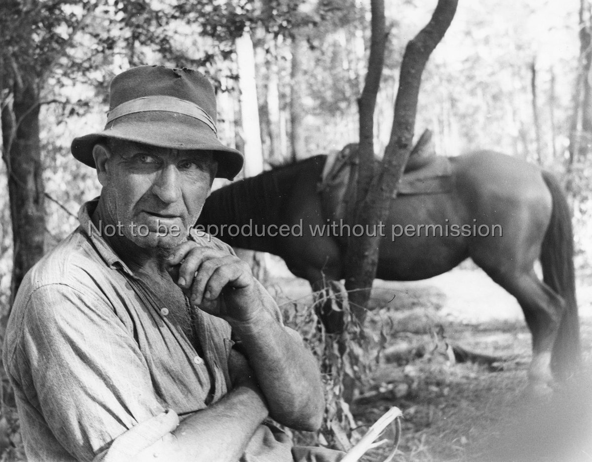 [Bullocky : publicity kit] | ACMI collection | ACMI: Your museum of ...