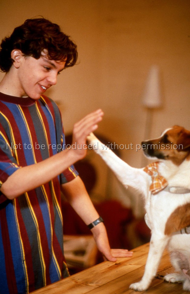 [Paws : publicity kit] | ACMI collection | ACMI: Your museum of screen ...