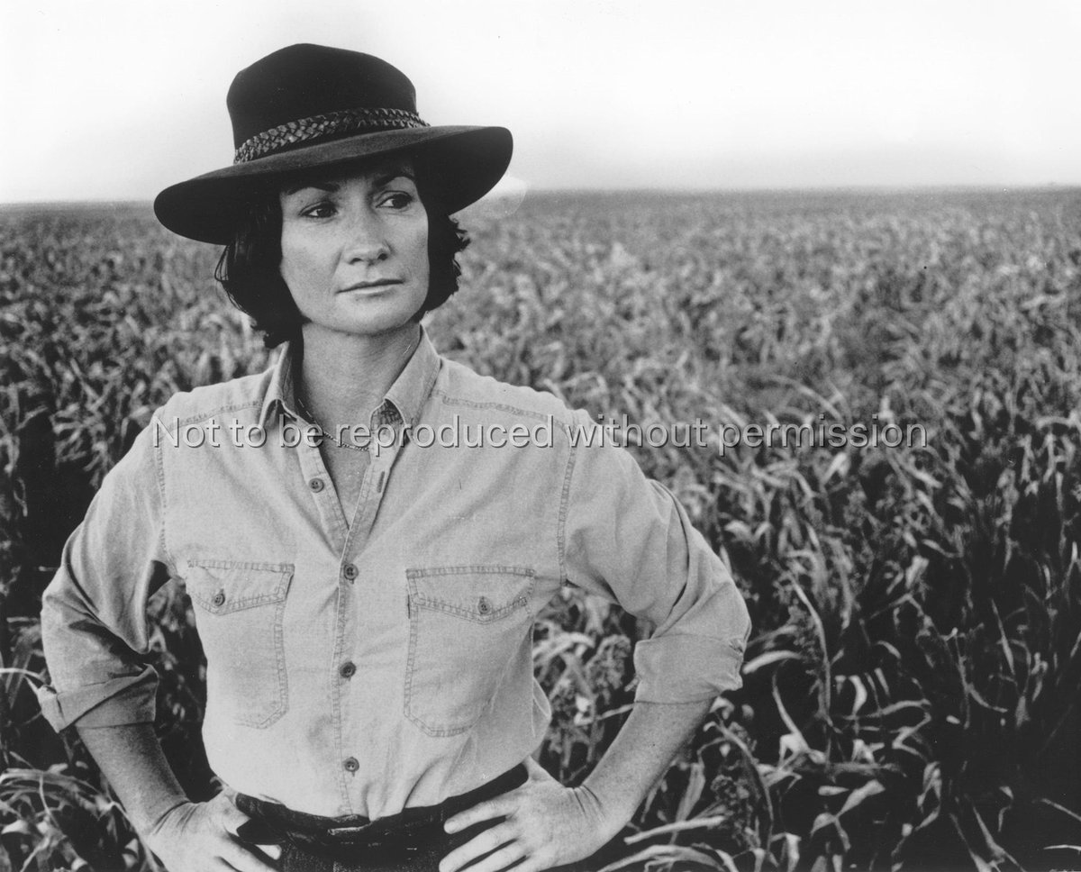 [Stock squad : publicity kit] | ACMI collection | ACMI: Your museum of ...