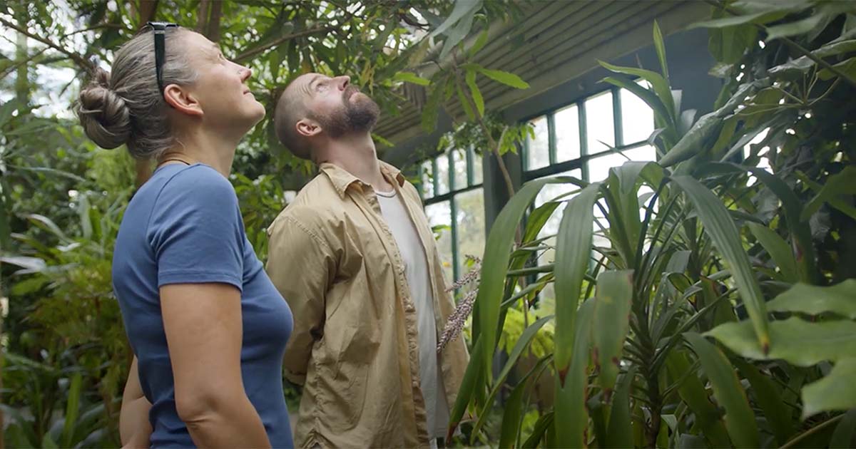 The language of plants: Tully Arnot and Monica Gagliano | ACMI: Your ...