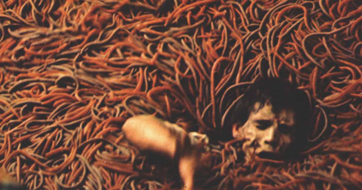 Squirm (1976) | Fri 26 Aug Cinemaniacs | ACMI: Your museum of screen ...