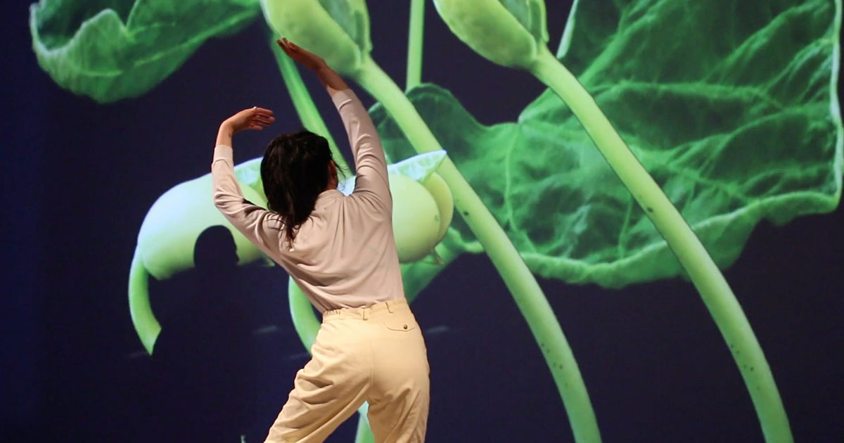 Strategic Change: Future art and creative ecosystems | ACMI: Your ...