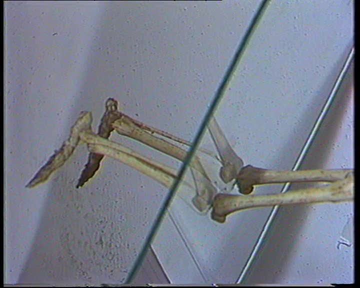 Tom Arthur | National Gallery of Victoria | ACMI collection | ACMI ...