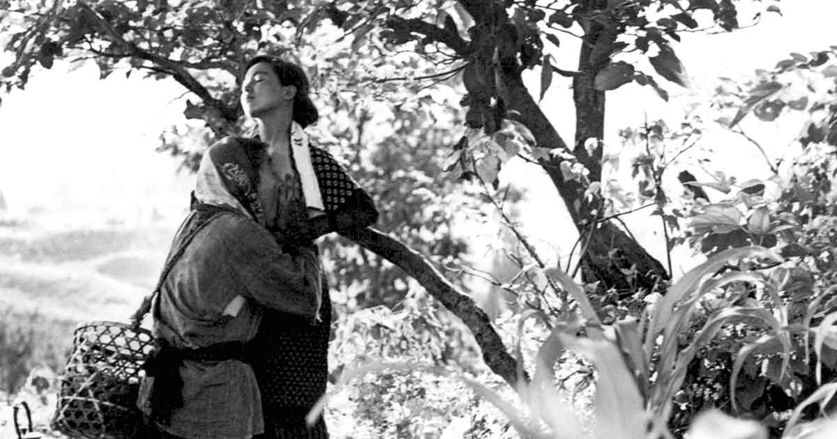 The Insect Woman (1963) – FREE screening | ACMI: Your museum of screen ...