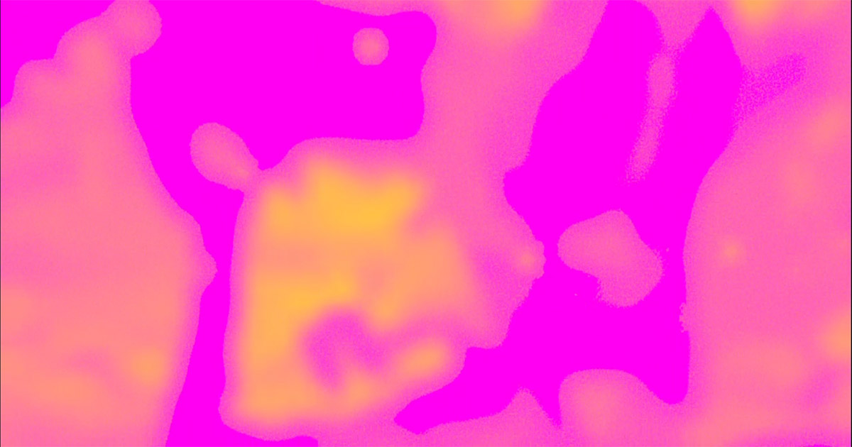 Tully Arnot: Epiphytes | FREE VR experience 4–27 Nov 2022 | ACMI: Your ...